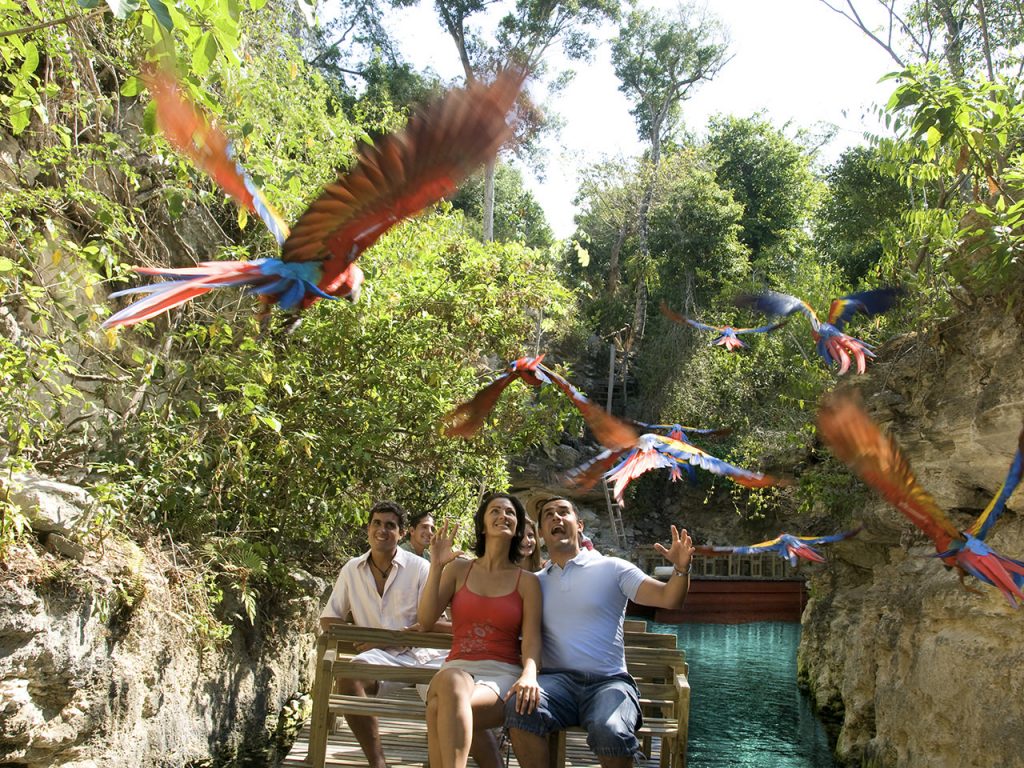 XCARET – Robinson VIP Tours